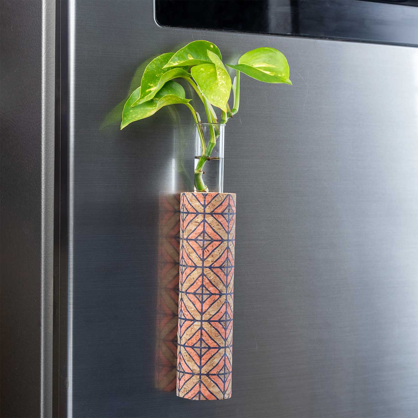 Buy Handmade Classic' Magnetic Test Tube Cork Planter Online On Zwende