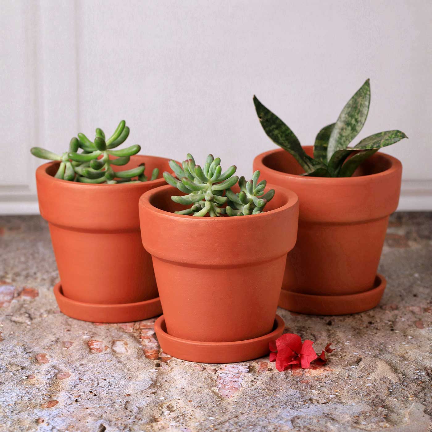 Buy Handmade Medium Gamala Terracotta Planter Pots | Set Of 3 Online On ...