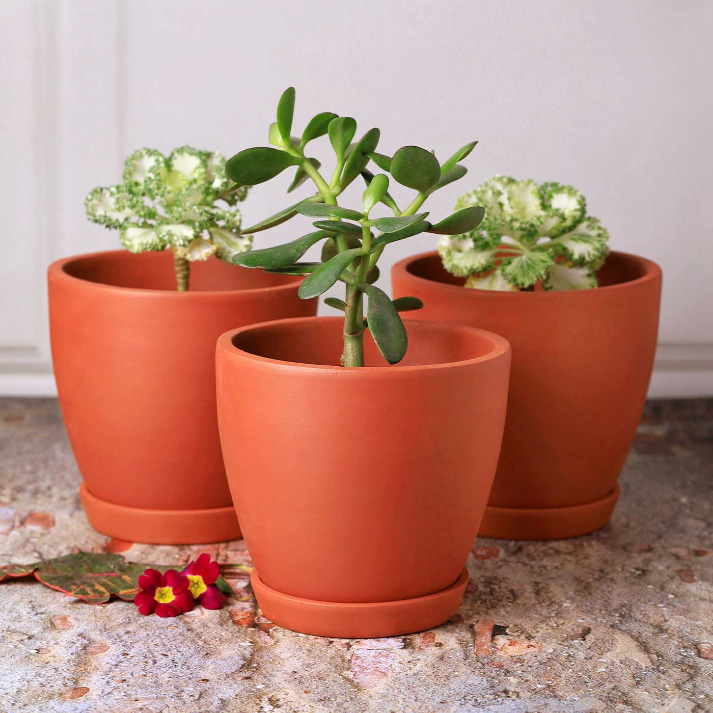 Buy Handmade Medium 6 Inch Hexane Planter Terracotta Planter Pot Online ...