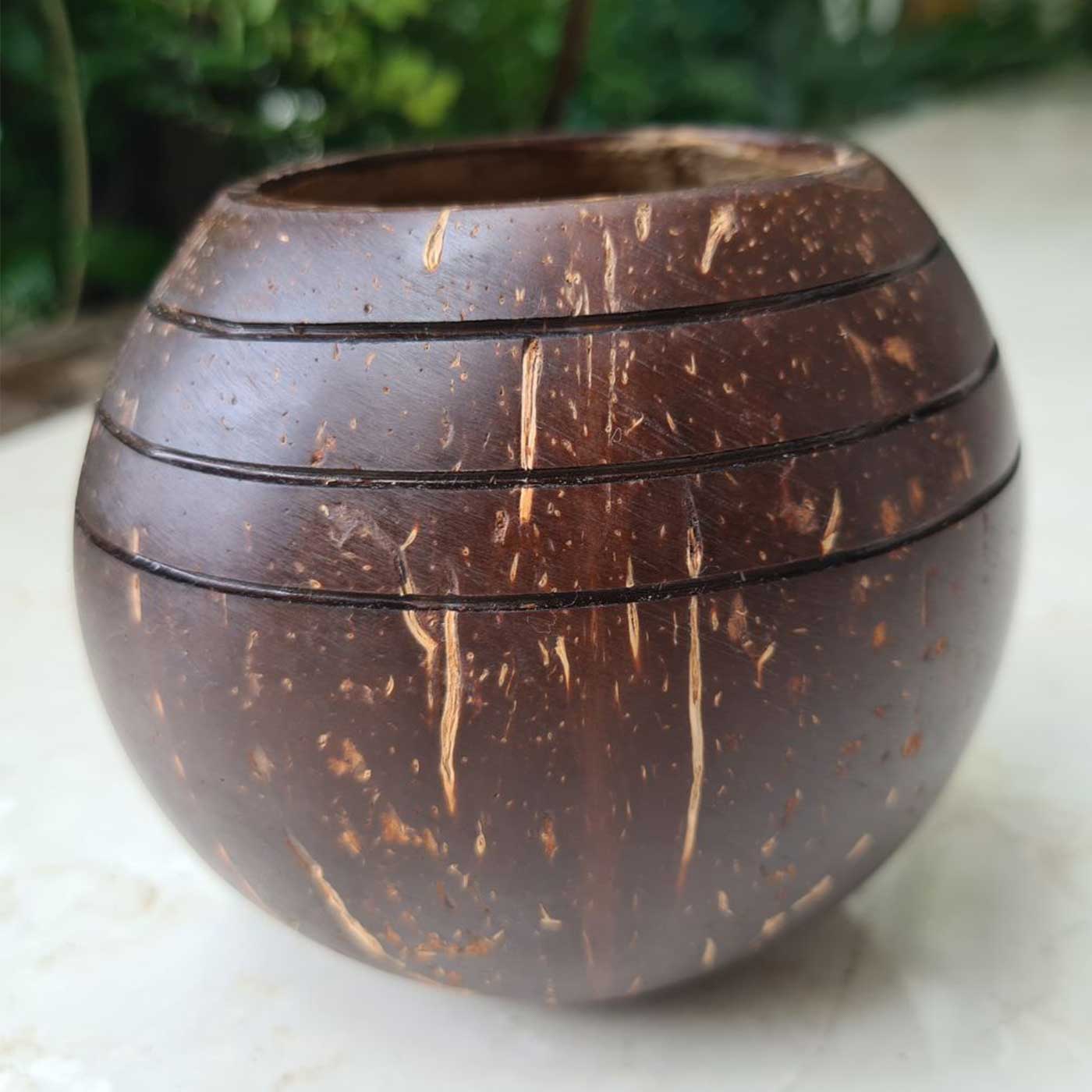 Buy Eco-Friendly Handmade Three Line Coconut Shell Planter Pot Online ...