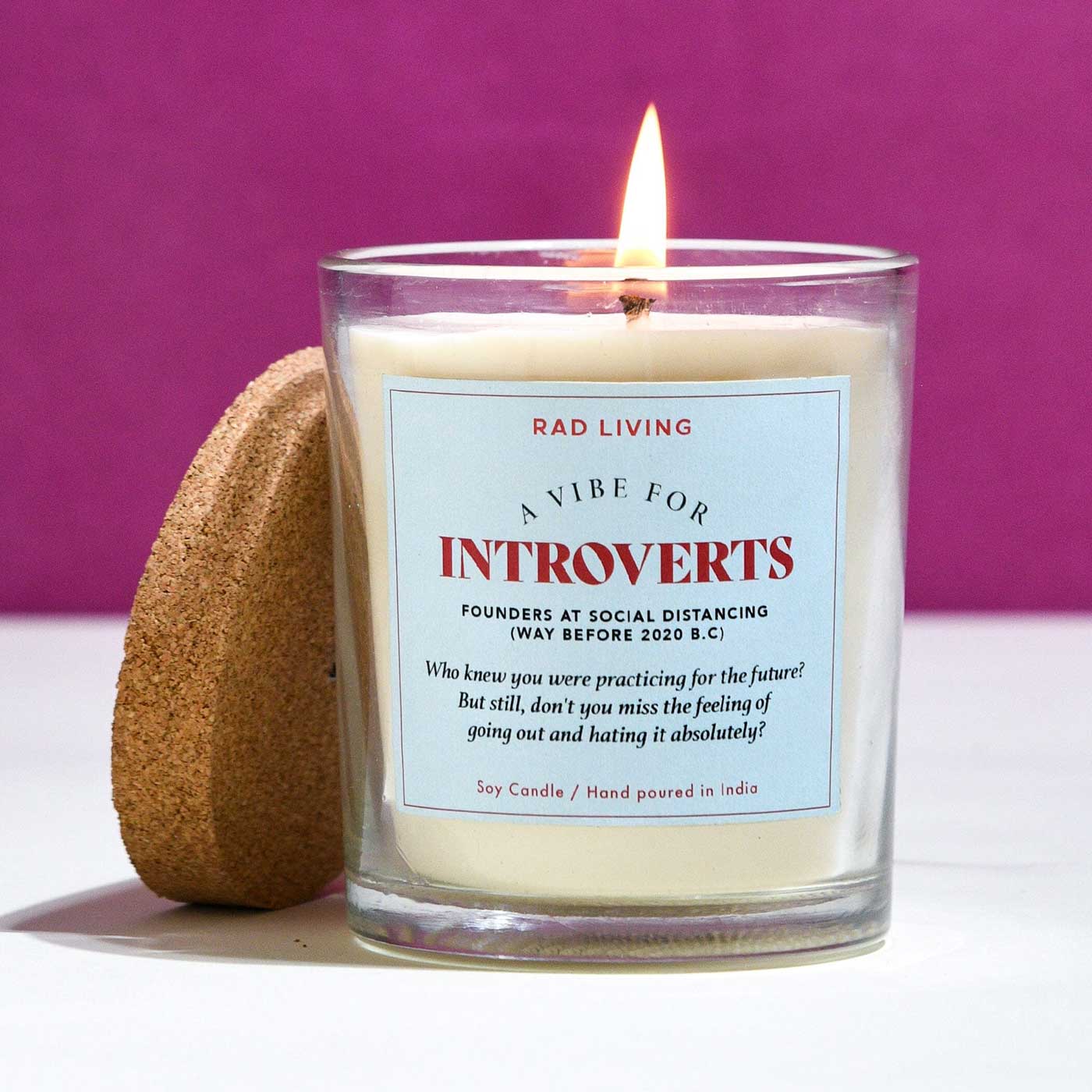 Buy Hand Poured Introverts Cinnamon Mocha Scented Soy Wax Candle Online ...