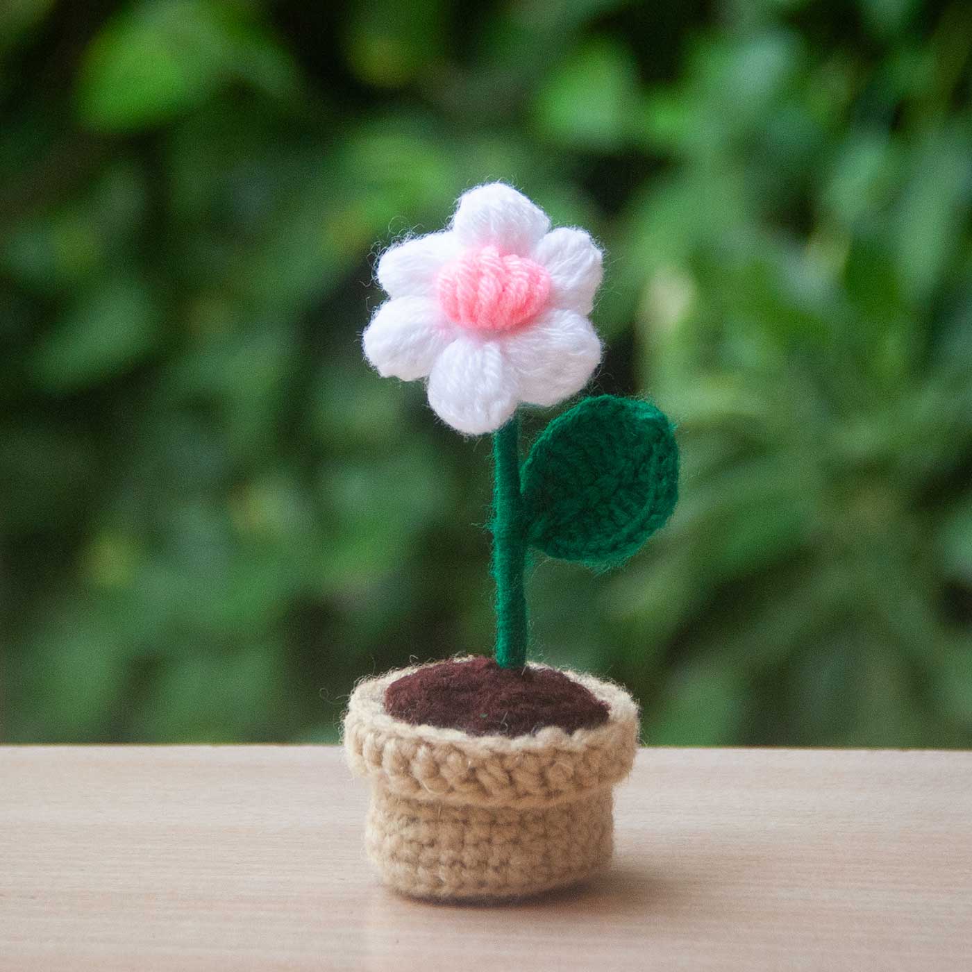 Buy Handmade Crochet Mini Flower Pot Online On Zwende
