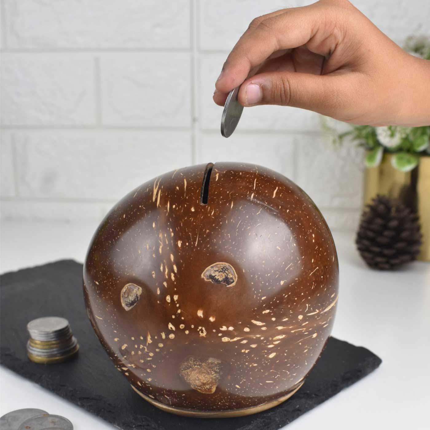 Buy Eco-Friendly Handmade Kids Coconut Shell Piggy Bank Online On Zwende