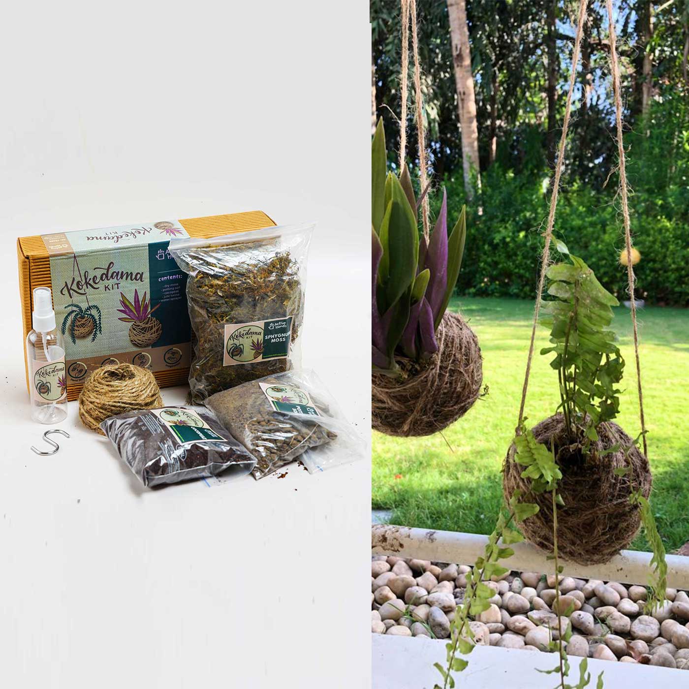 Buy Japanese Kokedama Hanging Planters DIY Kit Online On Zwende