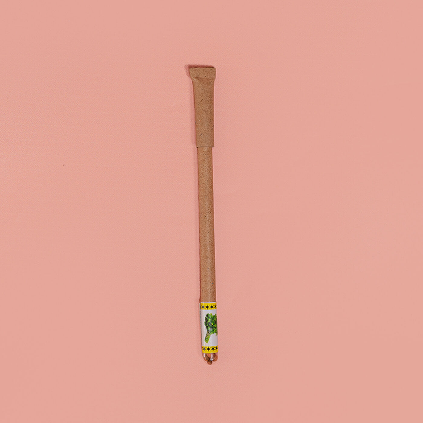 Buy Coriander Seeds Cardboard Pencil - Pack of 20 Online On Zwende