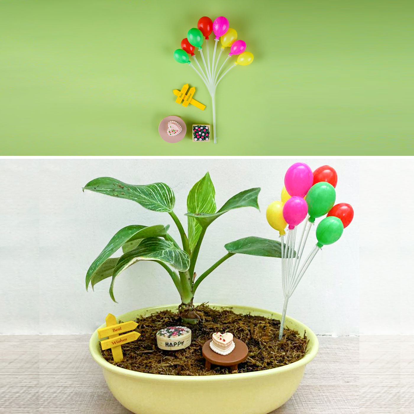 Buy Celebrations Miniature Set for Garden Décor & DIY Projects Online ...