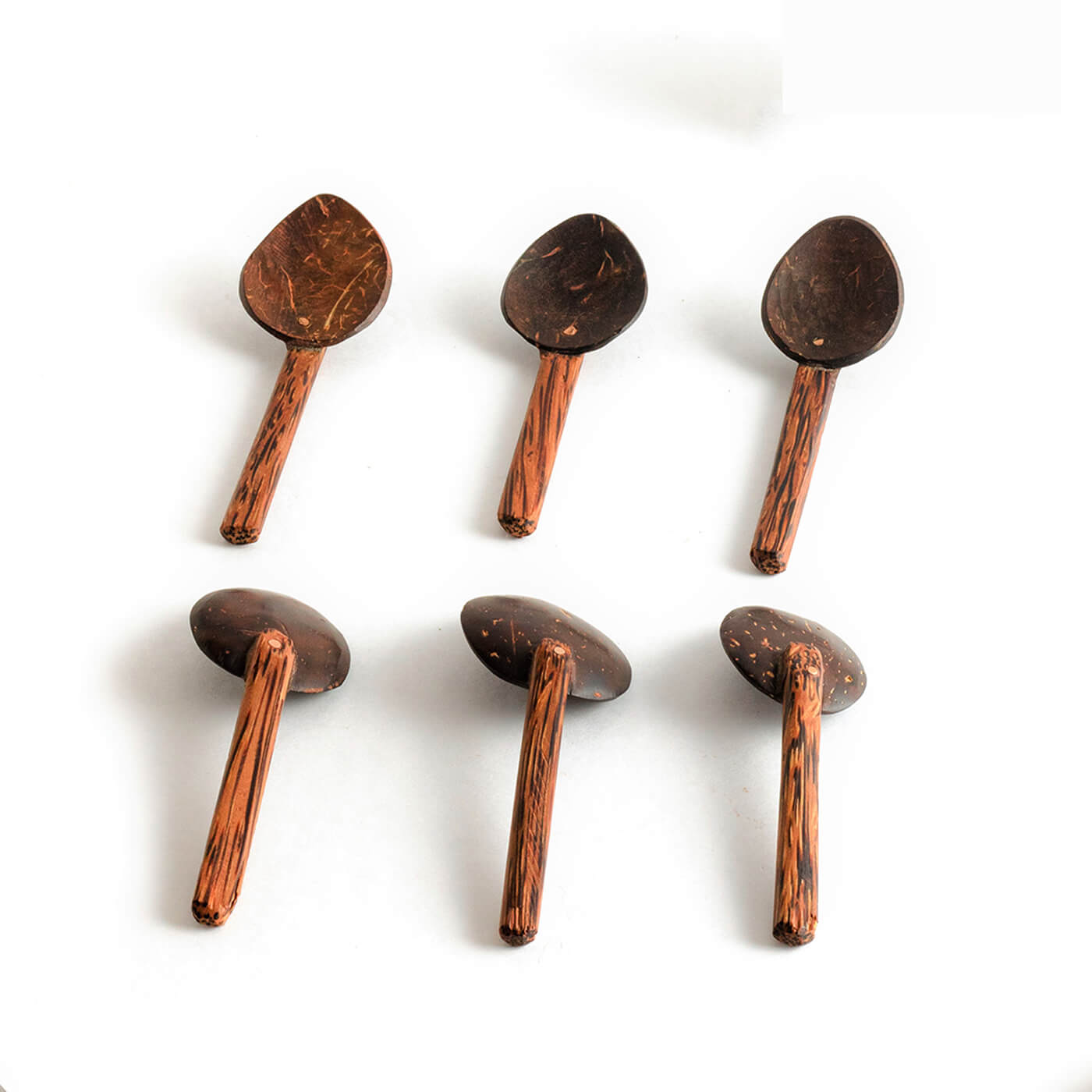 Buy Coconut Shell Masala Spoons - Set of 6 Online On Zwende